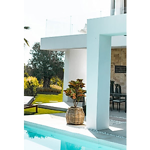 2PCS Artificial Croton Plant, Faux Fiddle Leaf fig Tree,Artificial Trees for Home Decor,Floor Plant,Front Porch Plants with Plastic Pot, Faux Ficus Lyrata Tree,35inch