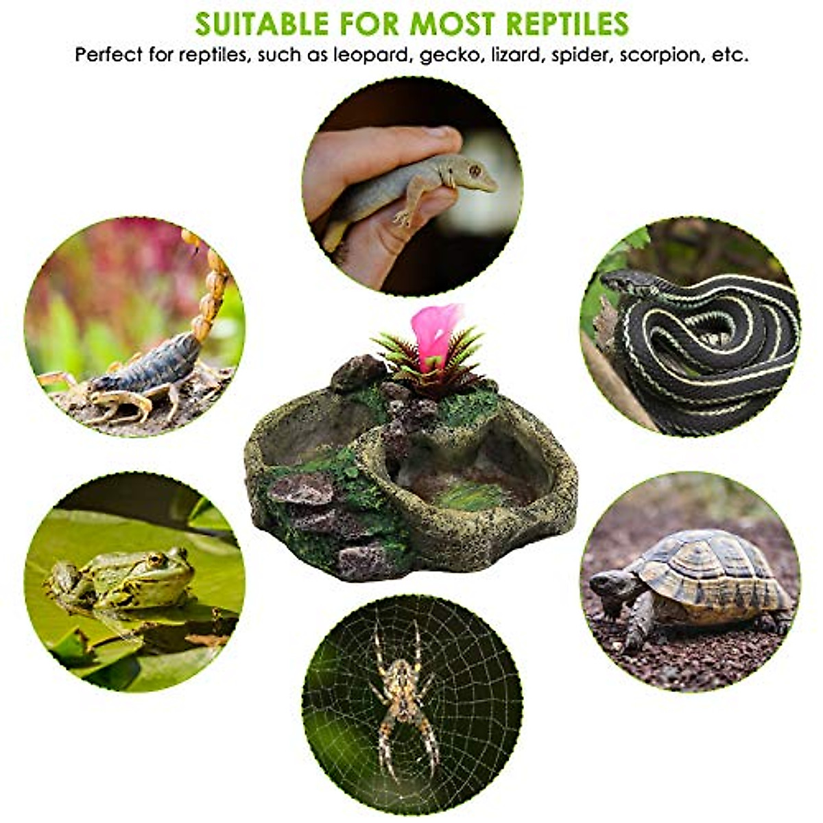 iFCOW Resin Feeder Bowl, Reptile Water Dish Food Bowl Resin Feeder Bowl for Tortoise Lizard