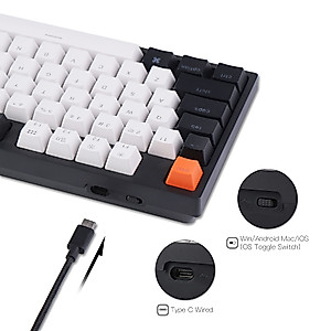 Keychron C1 Hot-swappable Wired Mechanical Computer Keyboard with Gateron G Pro Brown Switch/Double-Shot ABS Keycaps/White Backlight/USB Type-C Cable, Tenkeyless 87 Keys for Mac Windows PC