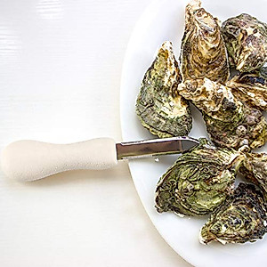 Nonley Oyster Shucking Knife, 2 Pack Oyster Knife Shucker Set with Professional Grade Cut Resistant Gloves | Oyster Shucker Clam Knife, Seafood Opener Seafood Tools