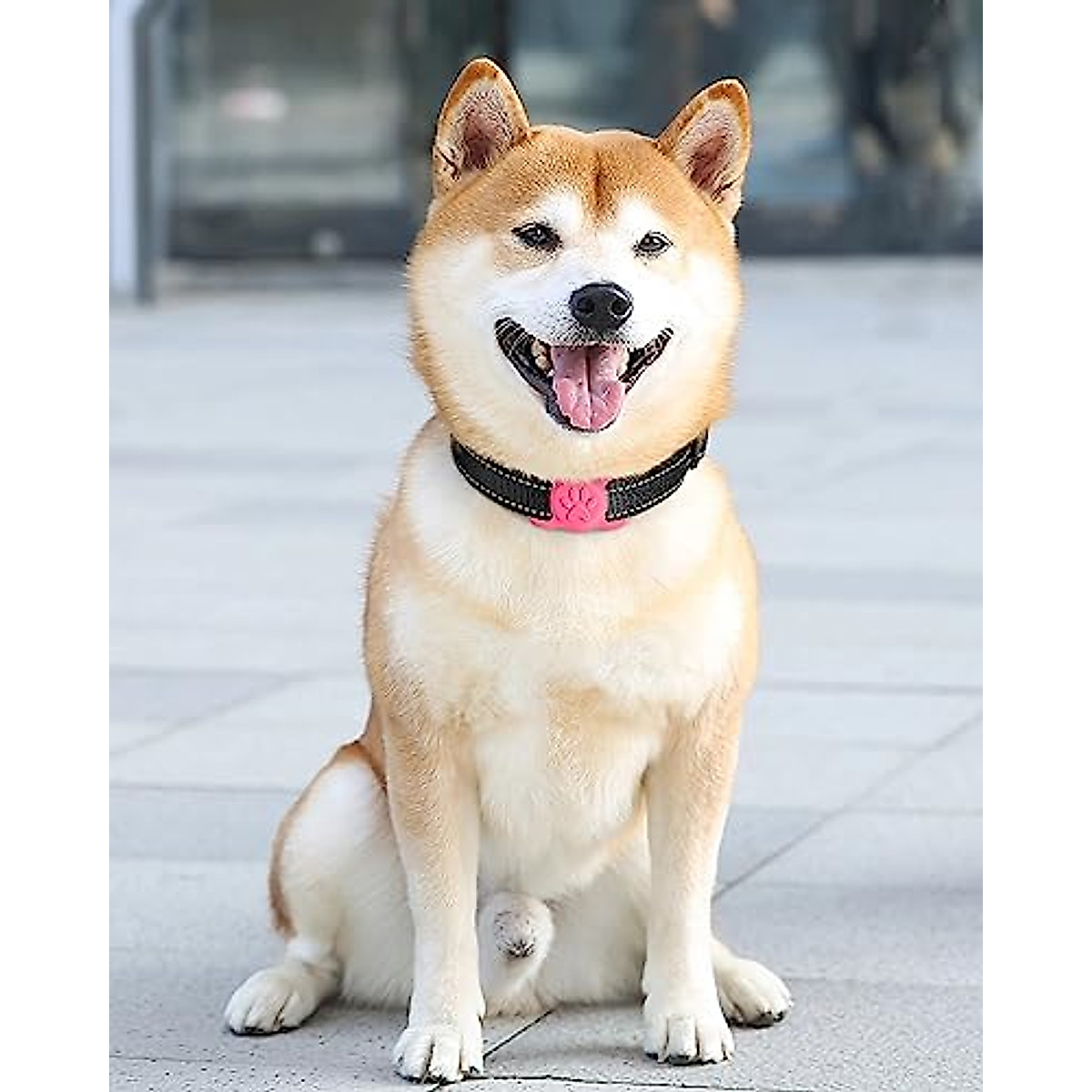 Joytale 2 Pack Airtag Dog Collar Holder, Elastic Silicone Air Tag Holder for Dogs and Cats, Light and Durable Apple Airtag Holder with Slide-On Loop(Hot Pink/Orange)