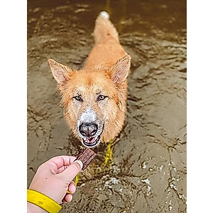 Tender & True Organic Turkey Jerky Treat, 4 oz bag