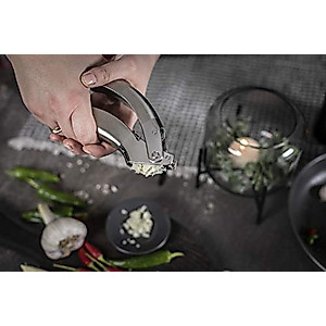 Kuhn Rikon Epicurean Garlic Press, Stainless Steel, 6.5 x 1 x 1.5 inches, Silver