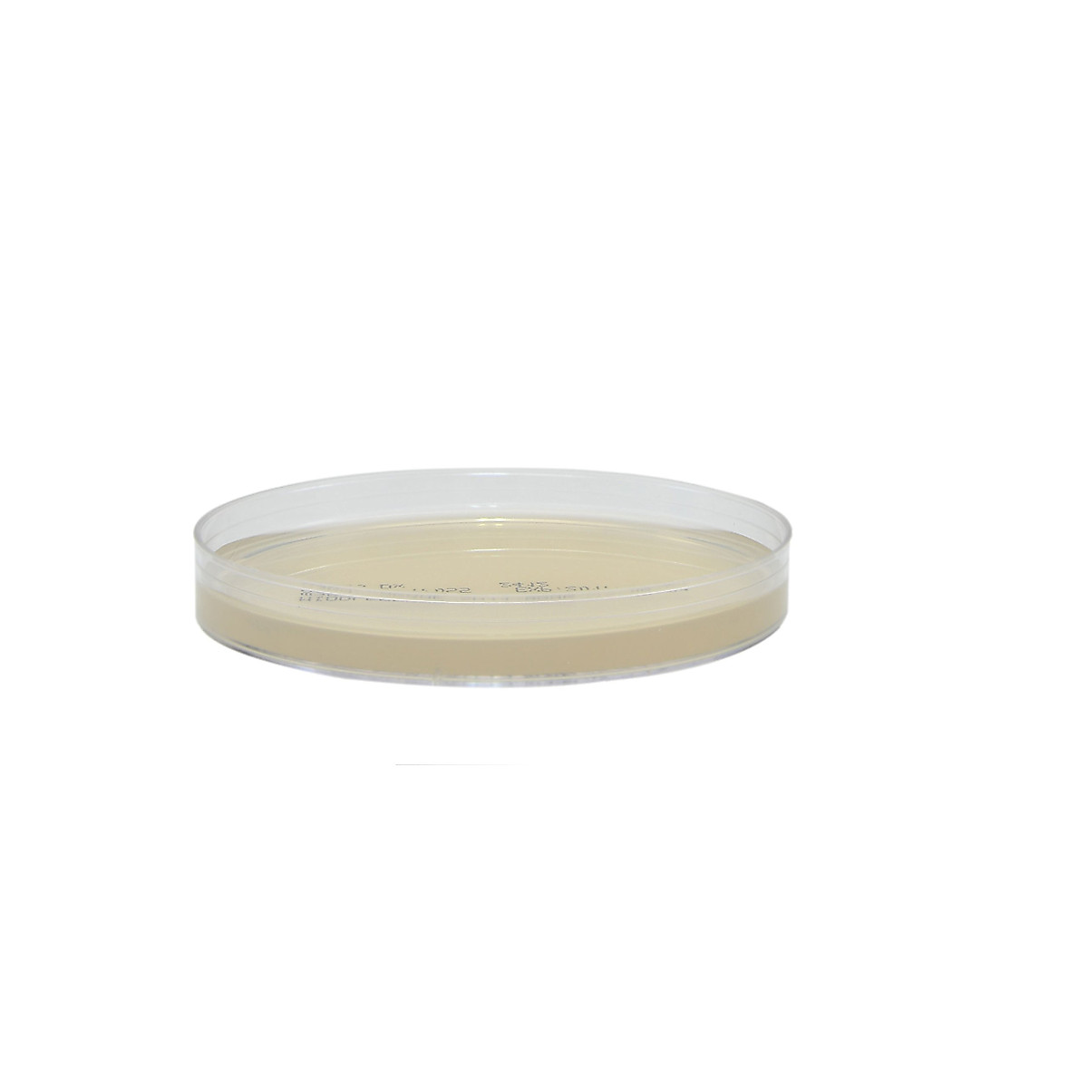 Sabdex (Sabouraud Dextrose) Agar, USP, for Cultivation of Yeast and Fungi, 15x100mm Plate, Order by The Package of 10, by Hardy Diagnostics
