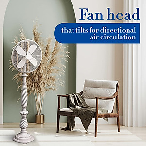 Deco Breeze Providence Floor-standing Fan, 16-Inch