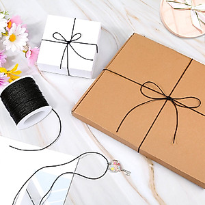 Black Nylon String, Anezus 0.8mm Nylon Thread Chinese Knotting Cord Tarred Twine Outdoor String for Braided Bracelets, Beading, Necklaces, Macrame Craft, Wind Chime, Blinds, Jewelry Making