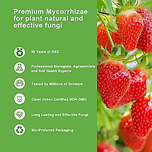 Hormone Root Fertilizer, Organic Fertilizer, Plant Fertilizer, All Purpose Indoor Plant Fertilizer(150g/5.3Oz)