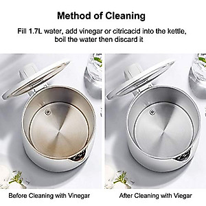 Electric Kettle, 1.7L 1500W Double Wall 100% Stainless Steel BPA-Free Cool Touch Tea Kettle Hot Water Boiler with Overheating Protection, Cordless with Auto Shut-Off and Boil-Dry