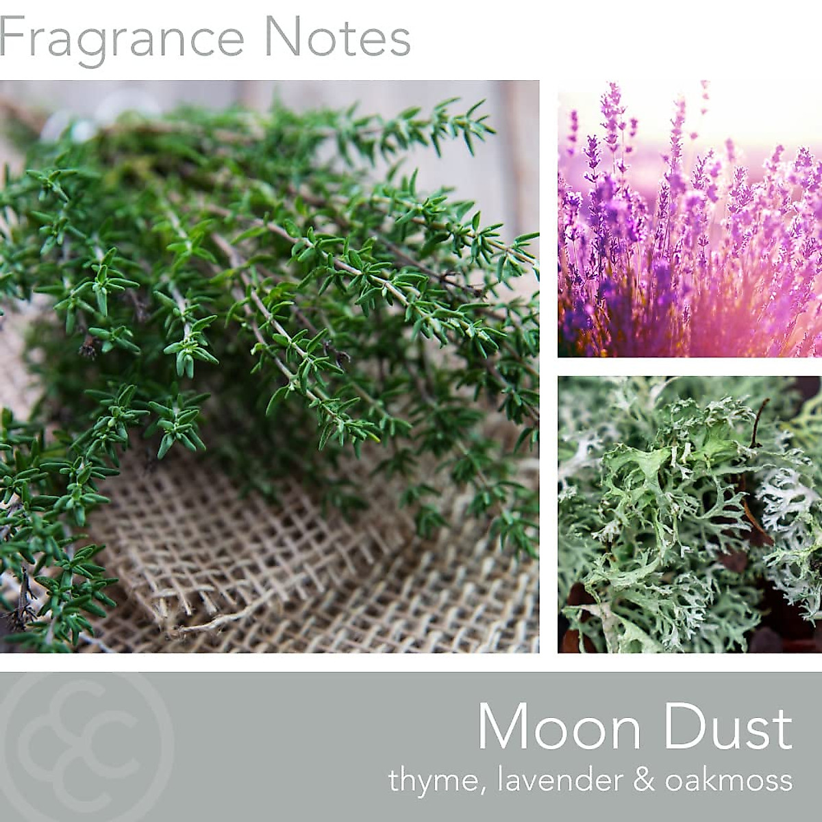 Manly Indulgence Moon Dust Scented Jar Candle, Rebel Collection, 2 Wick, Blue, 22 oz - Up to 120 Hours Burn