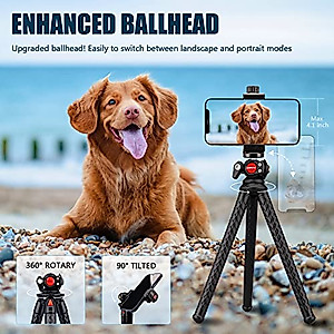 Phone Tripod, Lammcou 3 in 1 Flexible Tripod for Camera, Cell Phone, Universal 360 Degree Rotation Phone Holder with Tilt Ballhead for Video Recording, Vlogging, Live Streaming (Black)