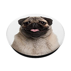 Cute Pug Face With Tongue Out On White Background PopSockets PopGrip: Swappable Grip for Phones & Tablets