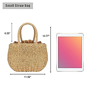 Straw Bags for Women, Hand-woven Straw Small Hobo Bag Round Handle Ring Tote Retro Summer Beach Rattan bag (Brown)