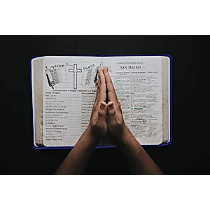 2 Pack Stretchable Book Sleeve Covers, for Paperbacks Hardcover Textbooks up to 9" x 12", Office Supplies with Free Sticker Labels (2 Pack, Rose Red + Pink)