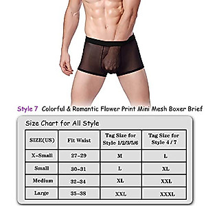 Evankin Men's Sexy Mesh Boxer Briefs Transparent Lingerie Black Mesh Transparent Bulge Pouch Valentines Underwear(45Black,XXL)