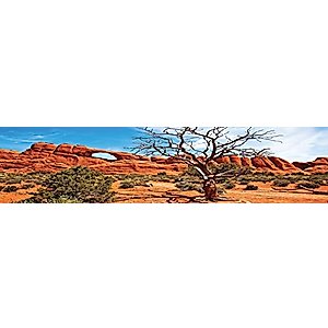 Reptile Habitat Background; Arch with Tree, for 48Lx24Wx24H Terrarium, 3-Sided Wraparound