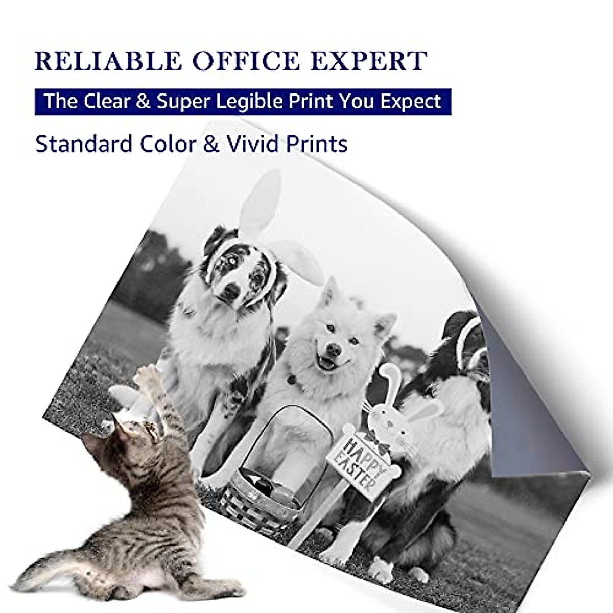 Mooho Remanufactured Ink Cartridge Replacement for HP 67XL 67 XL HP67 HP67XL for HP Envy 6055 6055e 6052 Envy Pro 6455 6455e Deskjet 2755e 2755 Deskjet Plus 4140 4155e Printer (Black, 2 Combo Packs)