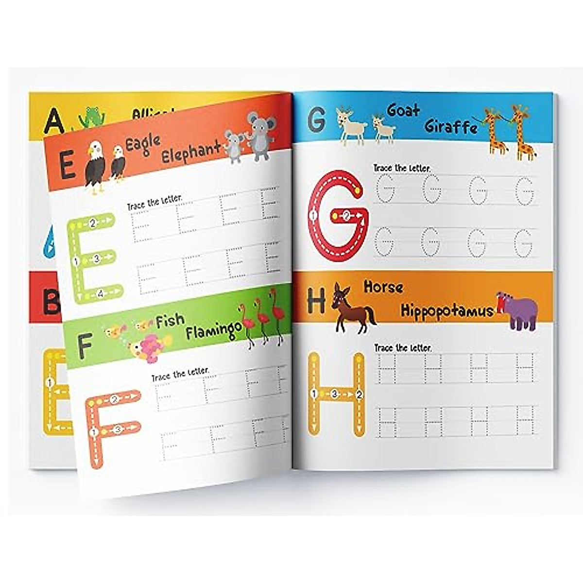 Writing Practice Boxset (Writing Fun)