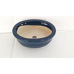 Oval blue Ceramic Bonsai Pot - Japanese Houtoku Brand - 5'' L / 4'' W / 2'' H