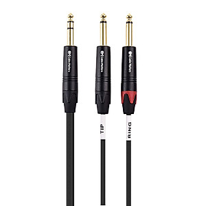 Cable Matters 6.35mm TRS to Dual TS Insert Cable (1/4 TRS to 2 TS Cable) - 6 Feet