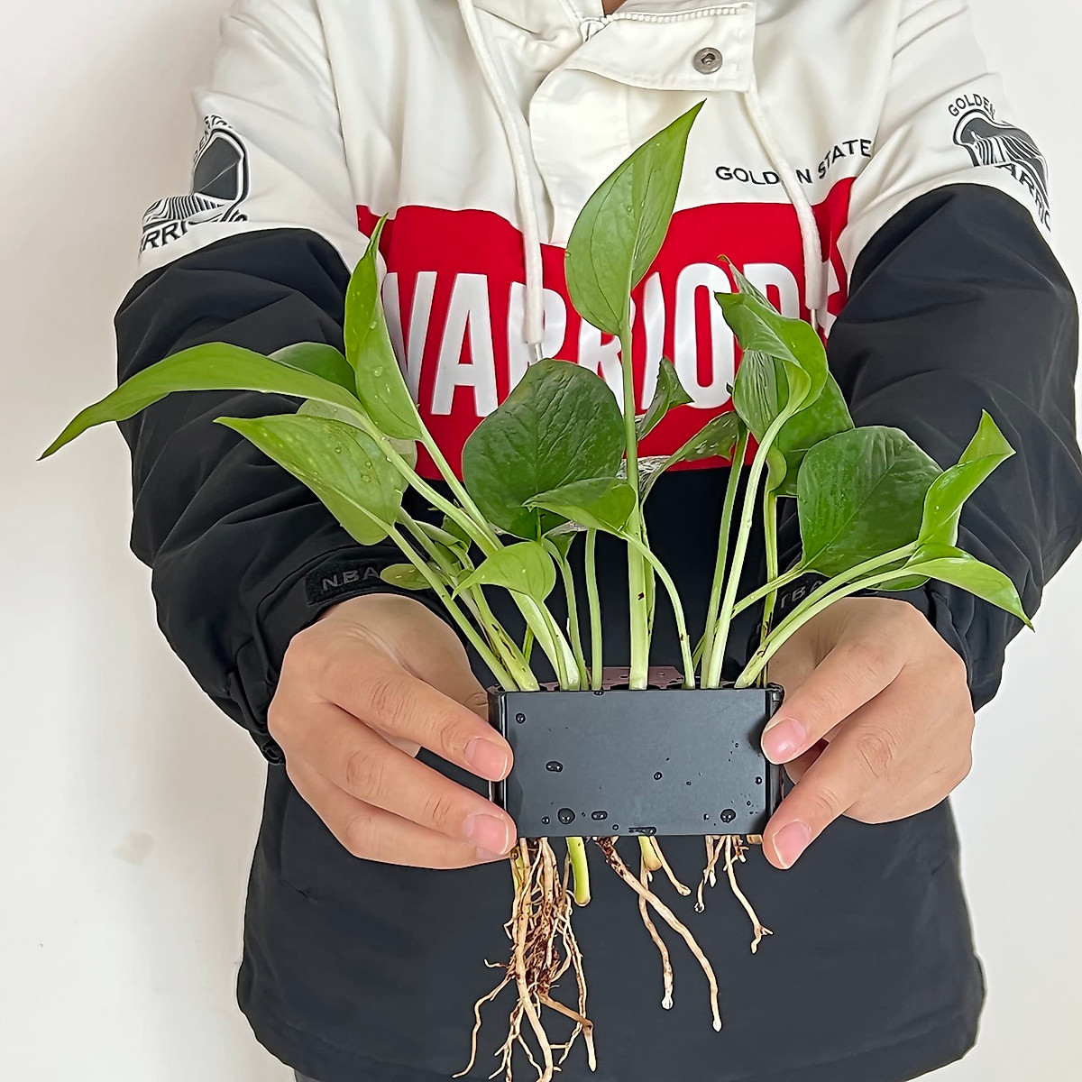 Upgrade Open Face Emerging Plant Holder, Aquarium Hanging Aquatic Plant Holder Fish Tank Decorations for Emersed Plants,Fish Tank Living Fish Shrimp (Rimmed)