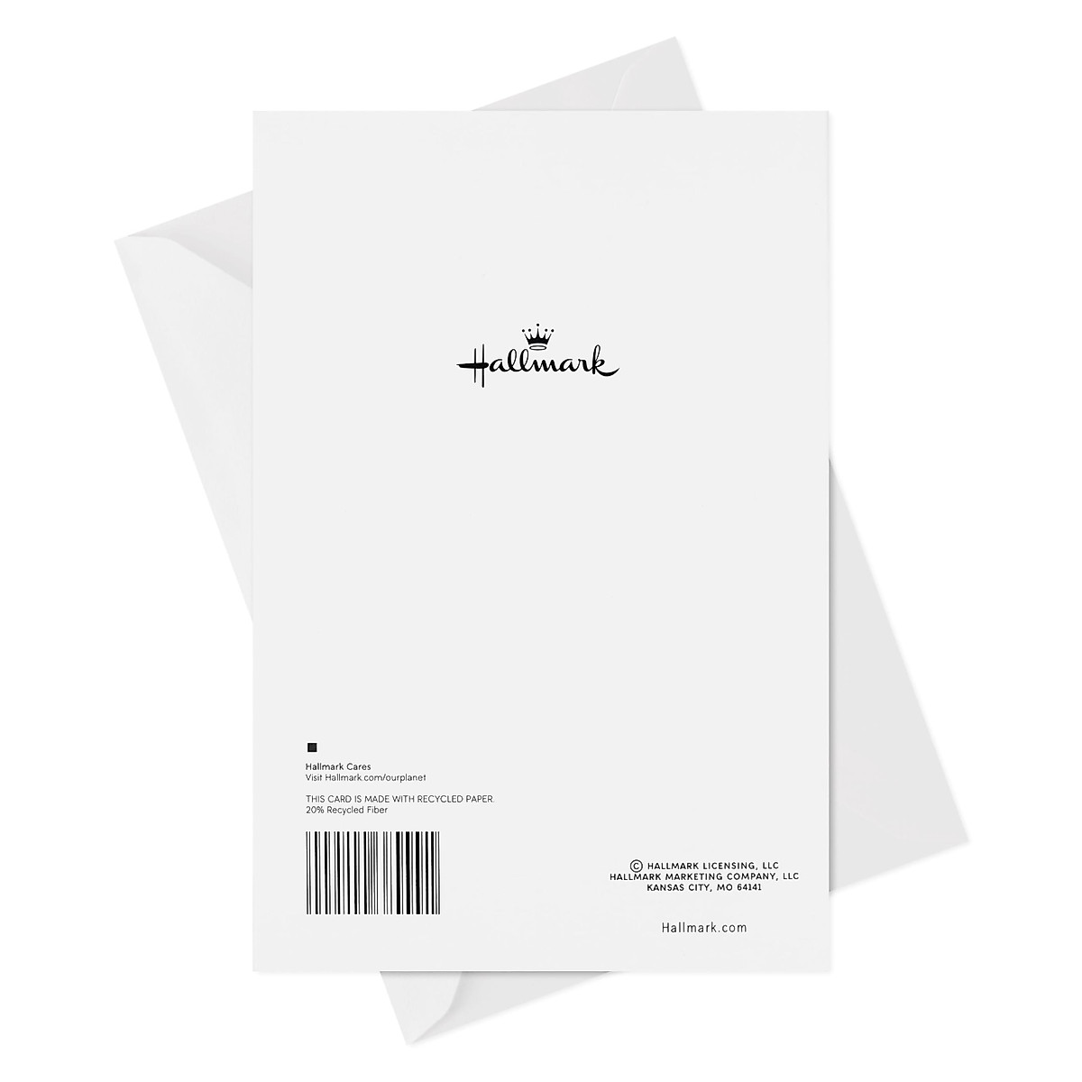 Hallmark Sympathy Card (Stitched Feather)