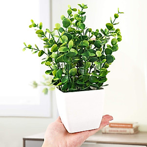 Whonline 2pcs Small Fake Plants, Mini Potted Plants for Home Bathroom Shelf Decor, Artificial Eucalyptus Plants for Office Desk Greenery Decoration