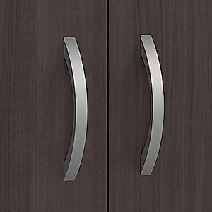 Bush Business Furniture Studio C Office Storage Cabinet with Doors, Storm Gray