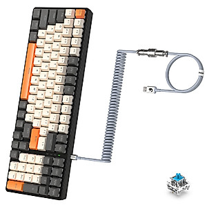 ZIYOU LANG Mechanical Gaming Keyboard, LED Backlit Keyboard, 98 Keys Mixed Color Keycaps Coiled Type-C to USB Cable Wired Computer Keyboard for Windows Laptop PC Gamer - Grey/BlueSwitch