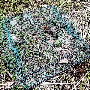 DSQSTMR Pigeon Bird Trap 2 Pack Trapping Hunting Quail Cage Sparrow Spring Starling Catching Net Traps for Trapping