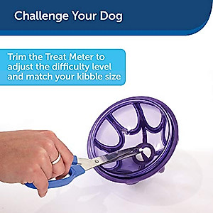 PetSafe Busy Buddy Kibble Nibble Meal Dispensing Dog Toy, Small - PTY00-13739,purple