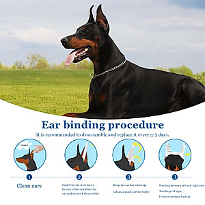 ziyue Doberman Ear Posting Kit, Dog Ear Cropping Dog Ear Stand up Care Tape Kit for Doberman Pinscher Dogs