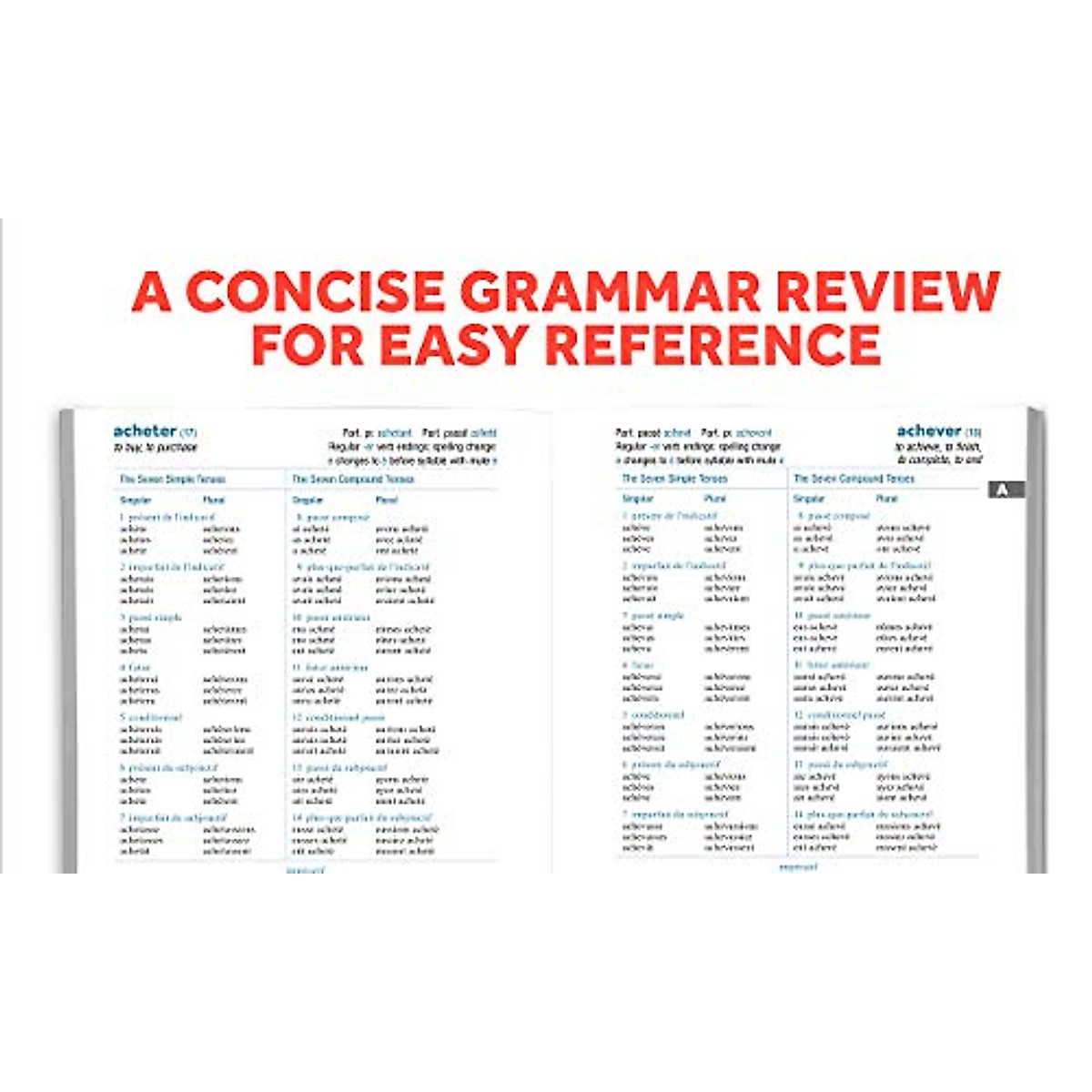 501 French Verbs, Eighth Edition (Barron's 501 Verbs)