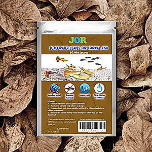 JOR 60 Pack Mini Catappa Indian Almond Leaves for Neon Tetra, Dried Leaf for Spawning, Perfect Hiding Spot, Create Brackish Habitat for Tropical Fish Like Guppy, Platy, Tiger Barb, Discus, Gourami