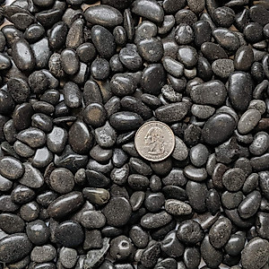 Midwest Hearth Natural Decorative Polished Black Pebbles 3/8" Gravel Size (2-lb Bag)
