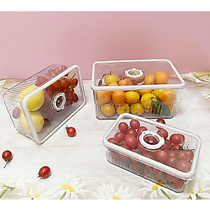 halteoly Fruit Storage Containers for Fridge,3 Pc Stackable Food Vegetables Saver for Refrigerator, Freezer organizers and Fresh Keeper Bin,Produce Saver box