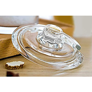 123Arts Glass Sugar Bowl Spice Jar with Lid and Stainless Steel Spoon Spoon
