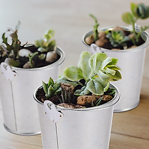 Didaey Mini Metal Buckets with Handles Galvanized Buckets 3.15 Inch Mini Container Pails for Metal Tin Plant Holder Pail for Wedding Decoration Party Favor(Silver,28 Pcs)