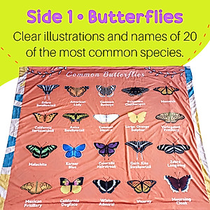 Birdy Boutique - Double Sided Learning Blanket® - Yoga and Game - Cozy Soft Minky - Great for Early Readers, Homeschoolers, PreK, Kindergarten - 50" X 60"