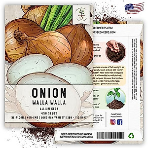 Seed Needs, Walla Walla Onion Seeds - 450 Heirloom Seeds for Planting Allium cepa - Long Day, Non-GMO & Untreated (1 Pack)