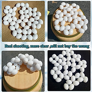 Magnetic Stirrer Stir Bar PTFE Magnetic Mixer Stir Bars (6X8mm, Olive Shape, 10pcs)