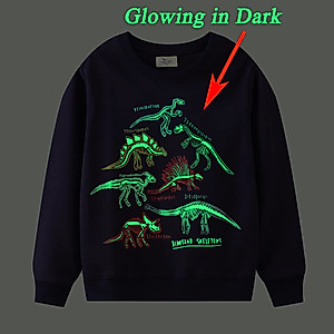 Toddler Boy Dinosaur Halloween Sweatshirts Dino Skeleton Glowing Shirts Long Sleeve T-Rex Bones Graphic Pullover Tops for Kids 4t/8154