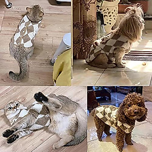 ANIAC Soft Fleece Small Dog Jacket Puppy Warm Coat with Cartoon Bear Decor Cold Weather Dog Apparel Pet Winter Padded Vest Clothes for Cats Chihuahua Teddy Poodle XS Dogs (Small, White)