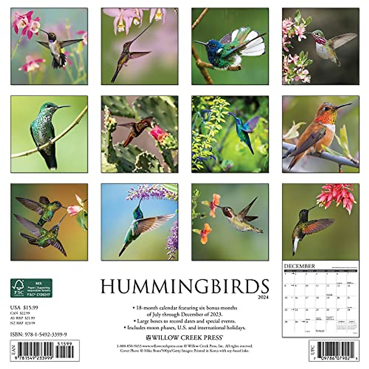 Willow Creek Press Hummingbirds Monthly 2024 Wall Calendar (12" x 12")