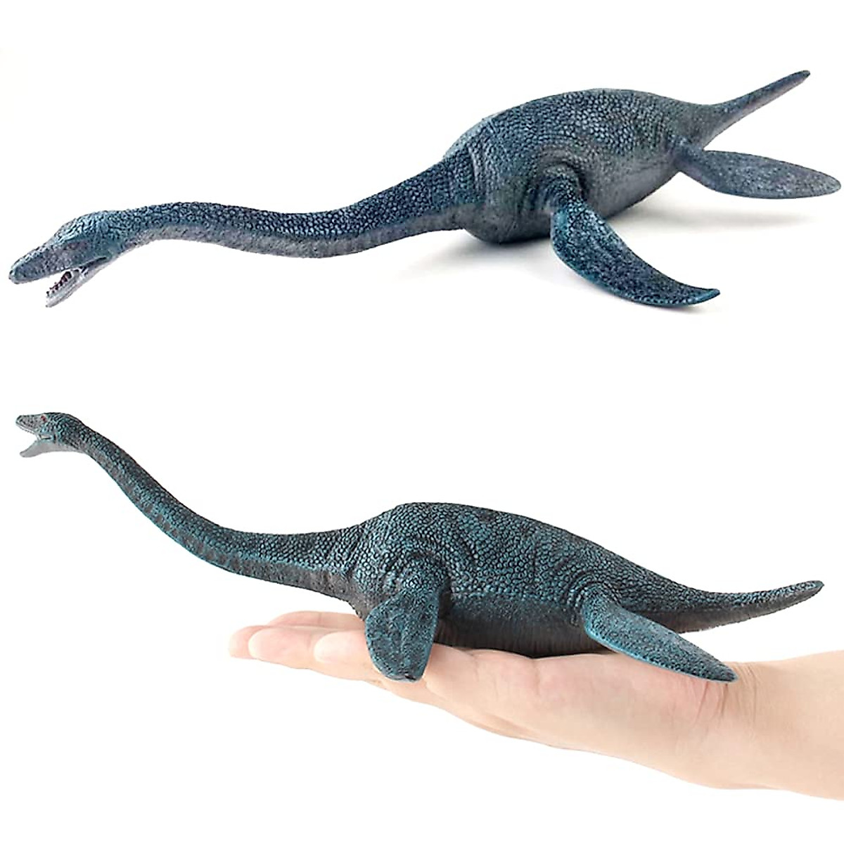 Direkame Plesiosaur Action Figures Dinosaurs Model Education and Collectible Toys for The Dino Lovers and The Coolest Gift for The Kids