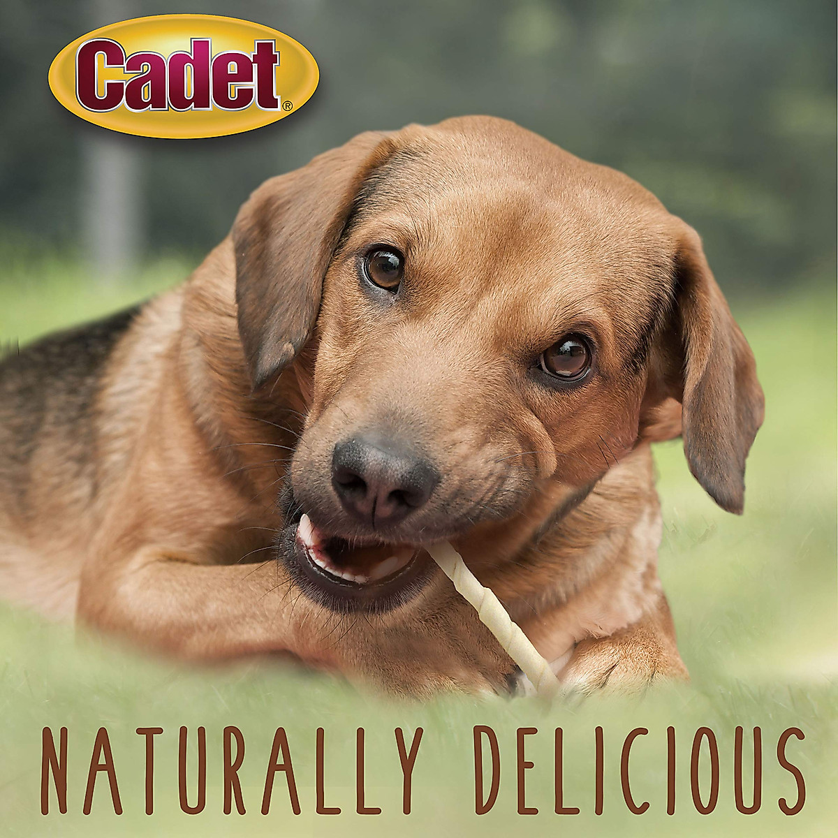 Cadet Premium Grade Beef Hide for Dogs, Long Lasting Rawhide Twist Chew Sticks, Natural Dog Chews, 5 Inch Dog Bones (75 Count)