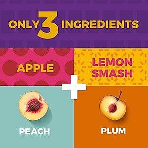 Fruit Snacks by Zest Delites, Fruit Leather, Healthy Snacks for Adults, Dried Fruit Bars, Gluten Free Fruit Strips, Vegan Healthy Snacks, Fruit Strips, Peach, Plum, 0.88 oz x 10