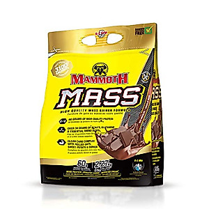MAMMOTH MASS: Weight Gainer, High Calorie Protein Powder Workout Smoothie Shake, Meal Replacement, Low Sugar, Whey Isolate Concentrate, Casein Protein Blend, Weight Training, High Protein (Chocolate, 5lb)