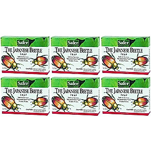 Japanese Beetle Trap