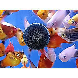 Sera Spirulina Tabs Nature 2.1 oz 100 ml