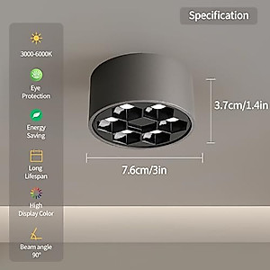 YAOWSZM 2Pack Modern Flush Mount Ceiling Lights 6W LED Dimmable Ceiling Light Fixture Gray Cylindrical Ceiling Spotlight for Living Room Hallway Kitchen